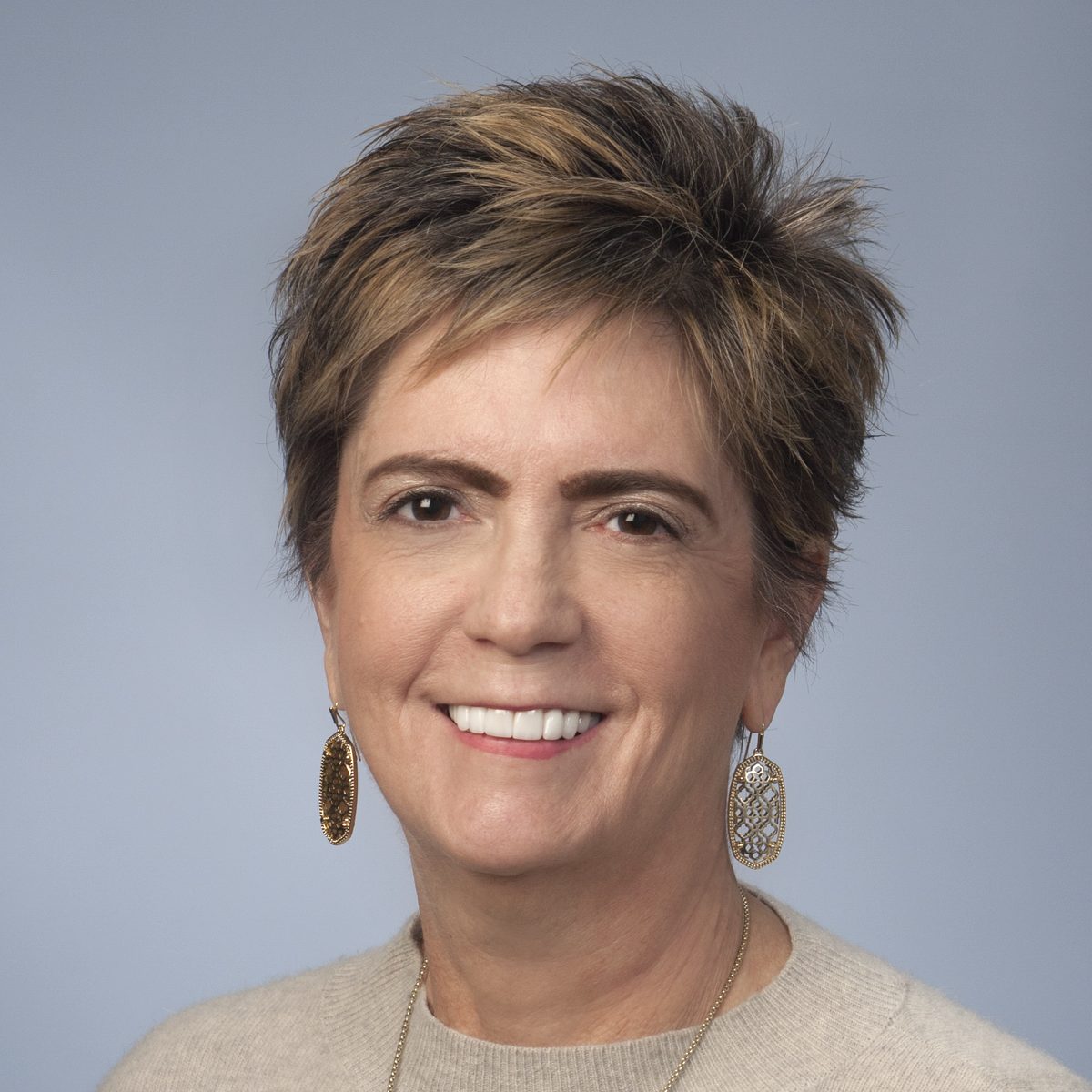 Jan F. Lewis - BMSS, LLC